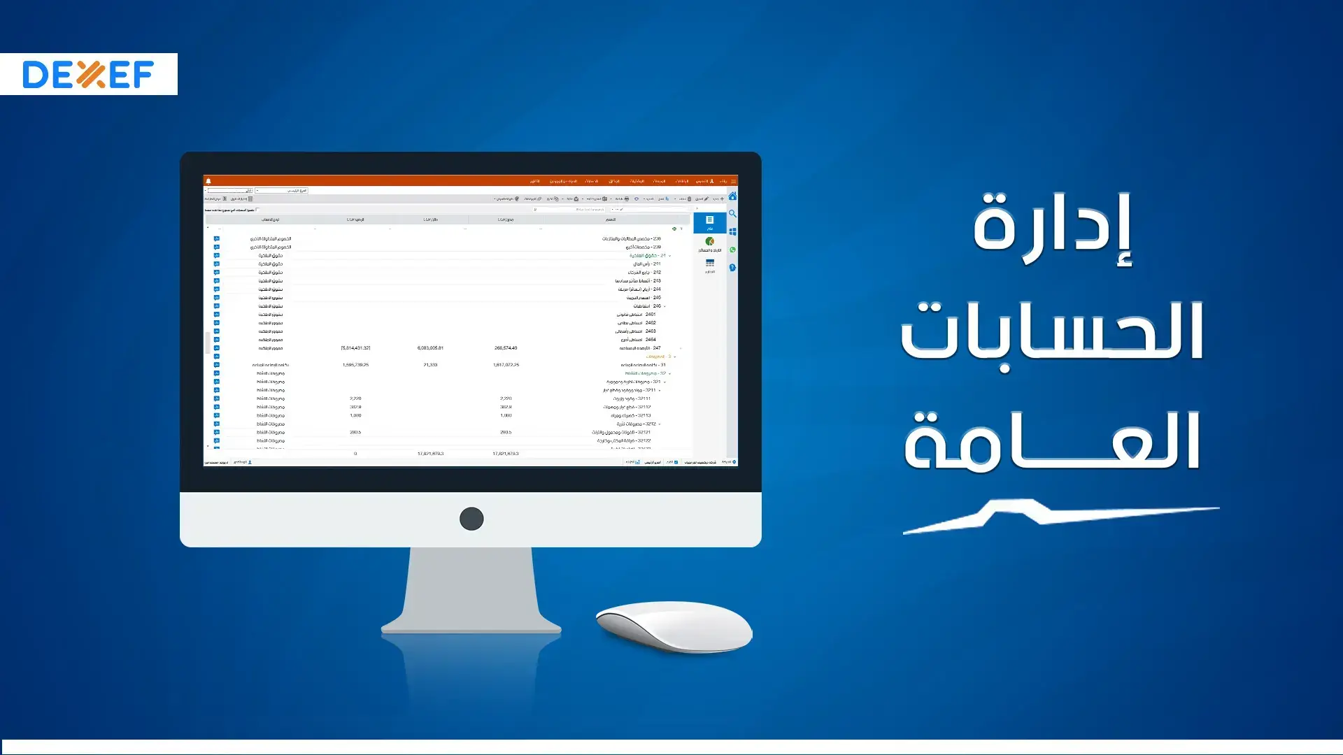 إدارة الحسابات العامة: دليل الأهمية والمبادئ والتحديات - DEXEF