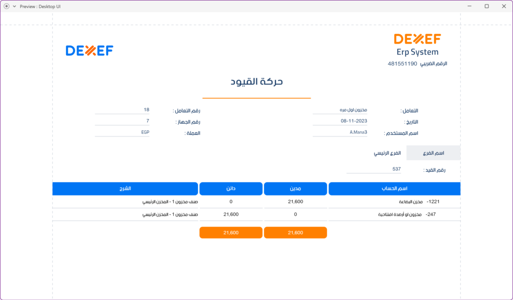 تحديات القيود المحاسبية: كيف يمكن تحسين دقة البيانات؟ - DEXEF