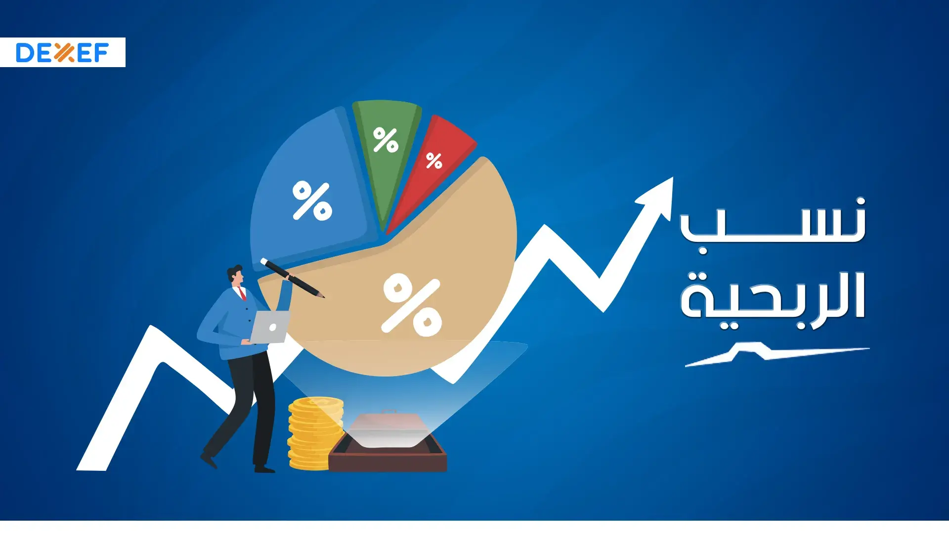 نسب الربحية : اكتشف كيف يمكن لربحك أن يتكلم! - DEXEF