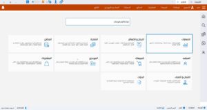 حساب رأس المال: دليل شامل للأهمية والأنواع والنسب بالأمثلة - DEXEF