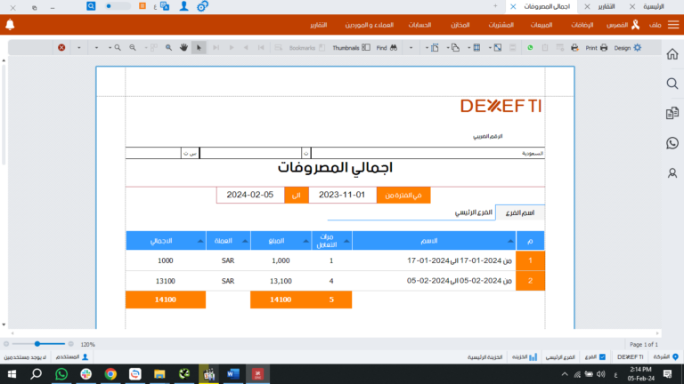 دليل شامل لإدارة الإيرادات والمصروفات - DEXEF