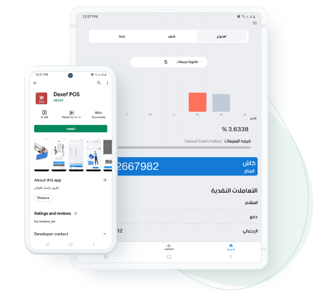 برنامج حسابات و برنامج محاسبة للشركات الكبيرة والصغيرة| dexef