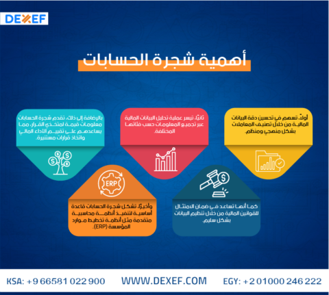 شجرة الحسابات.. الأهمية وكيفية أعدادها بالأمثلة - DEXEF