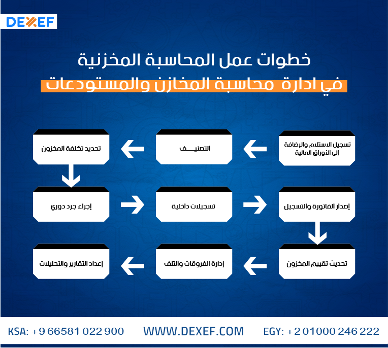 محاسبة المخازن والمستودعات: أساس إدارة المخزون الفعالة - DEXEF